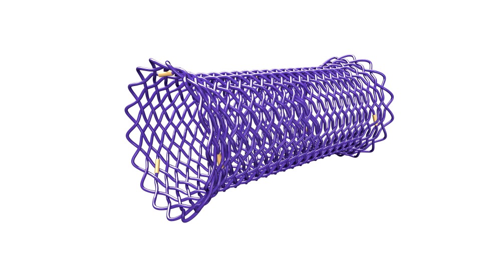BD Stent – Nano Medical