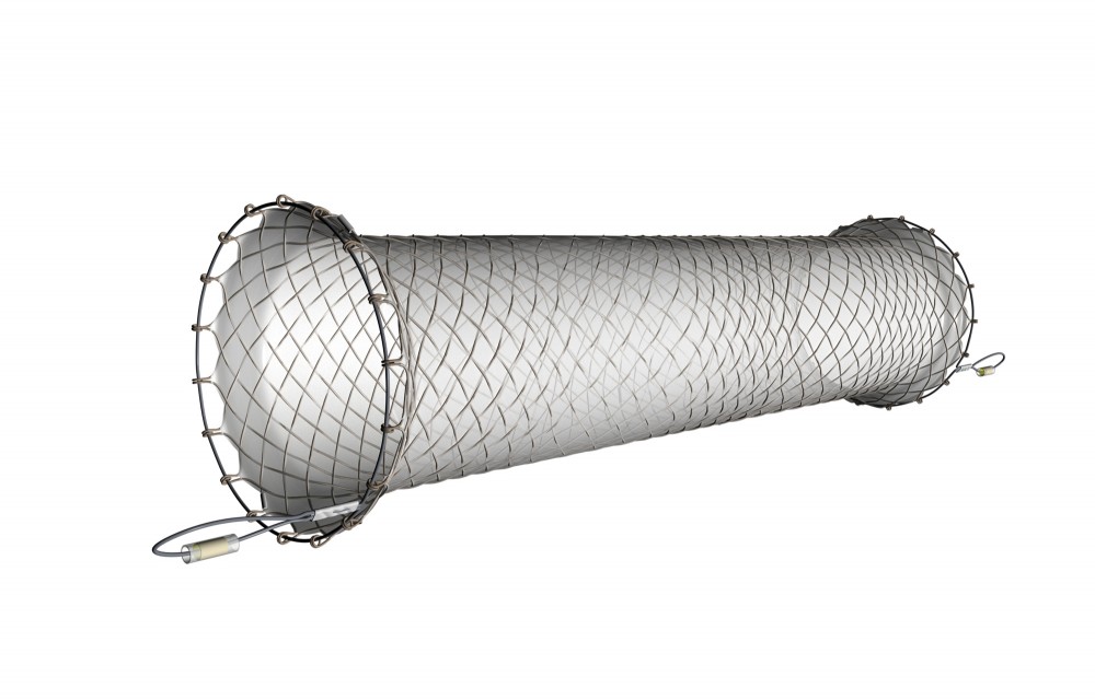 Danis Stent – Nano Medical